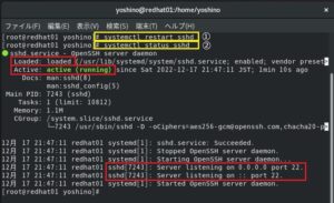 RHEL8の環境整備（SSH接続設定） | ヨシノ備忘録